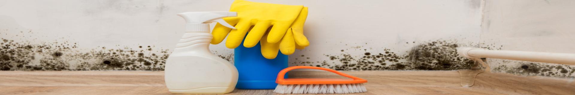 Mold Awareness (CAN) - Safety Canada