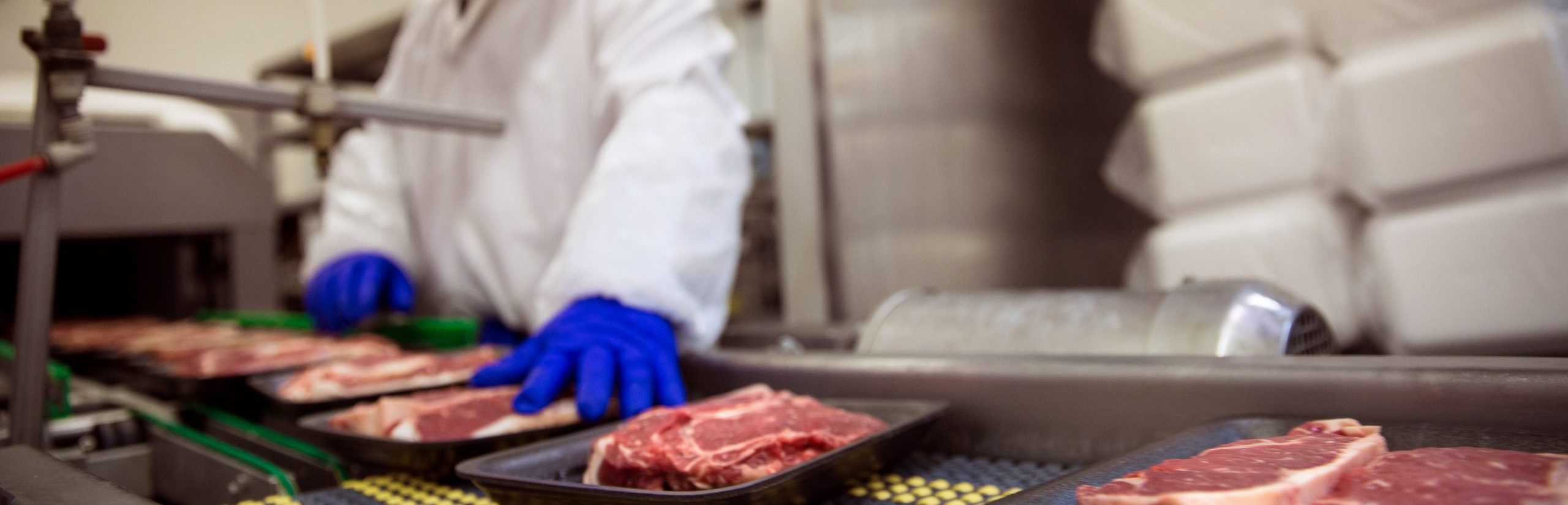 Food Handling Safety - Safety Canada